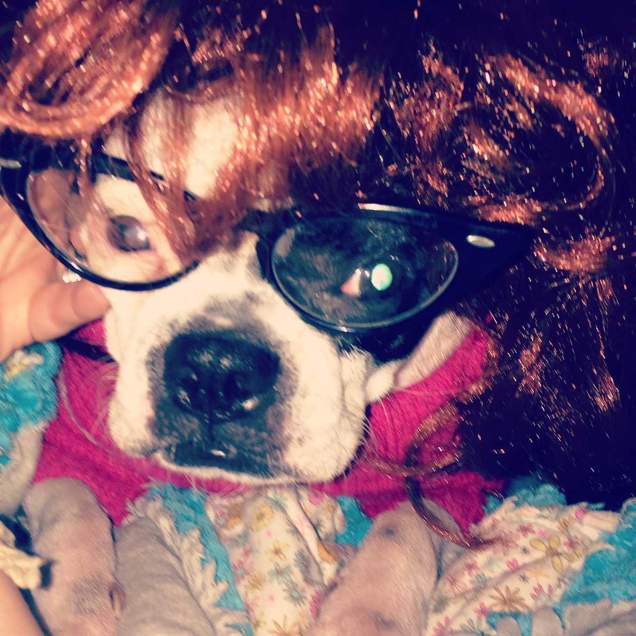 135 | Lillycat | Independent dollmaker