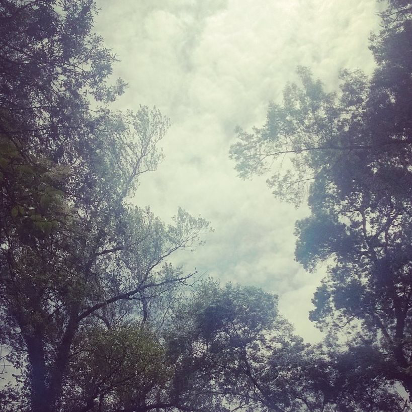 Gab special mix color | Lillycat | Independent dollmaker